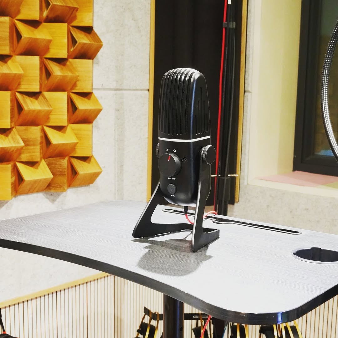 XTUGA X-4丨USB Condenser Microphone with 4 Polar Patterns